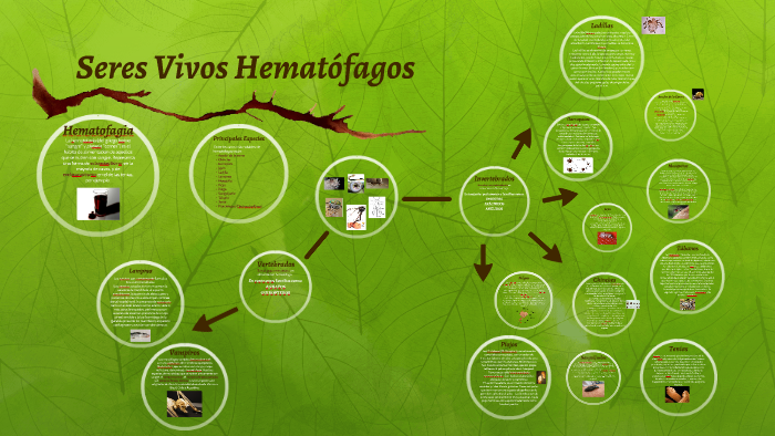 Seres Vivos Hematófagos by Daniel Garcia on Prezi