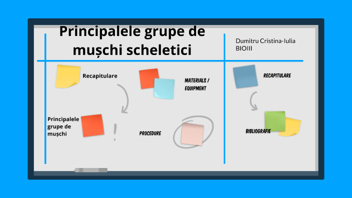 Principalele grupe de mușchi scheletici by CRISTINA-IULIA- DUMITRU- on ...