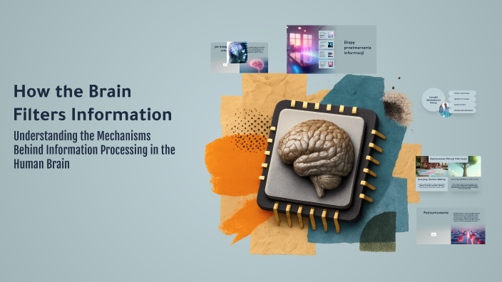 How the Brain Filters Information by Oliwia Staniucha on Prezi