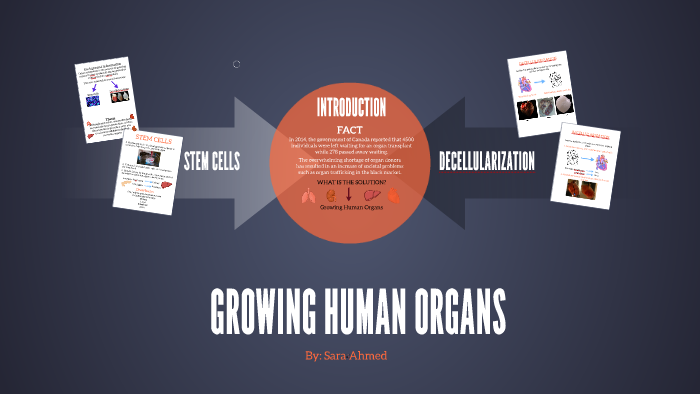GROWING HUMAN ORGANS by Sara Ahmed