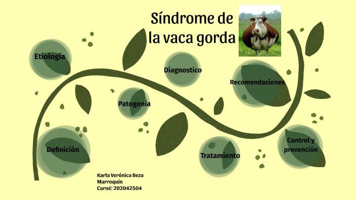 Síndrome de la vaca gorda by Karla Verónica Beza Marroquín on Prezi