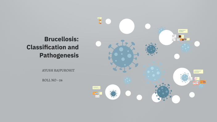 Brucellosis: Classification and Pathogenesis by Ayush Rajpurohit on Prezi