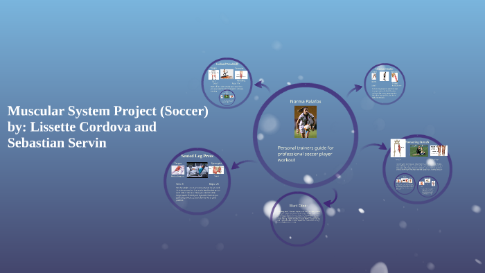 Muscular System Project by Sebastian Servin on Prezi
