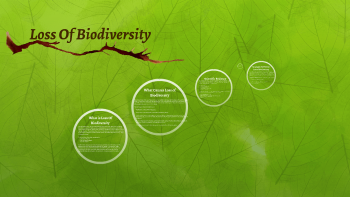 Loss Of Biodiversity Liam by liam dewberry on Prezi