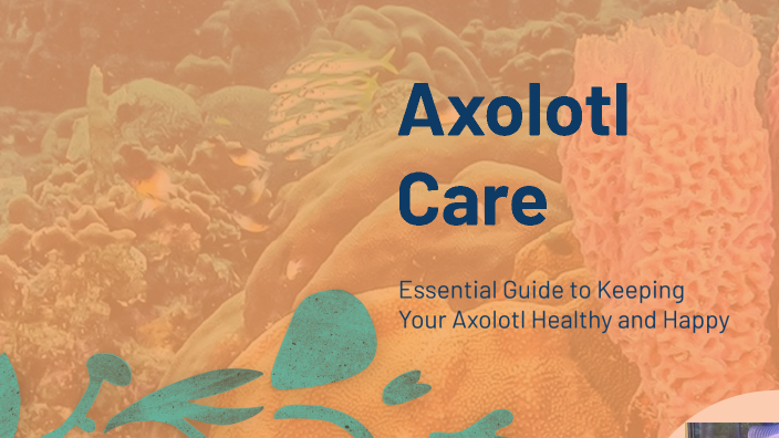 Axolotl Care by Ryan Zamani on Prezi