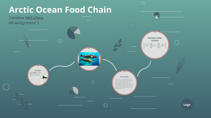Arctic Ocean Food Chain by on Prezi