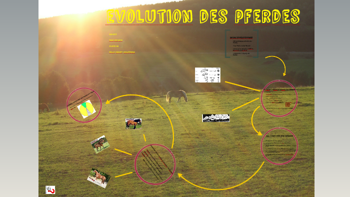evolution des pferdes by Maya Nielson on Prezi