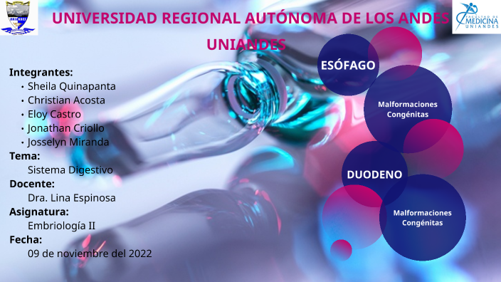 DESARROLLO DEL ESÓFAGO Y DUODENO by Christian Acosta on Prezi