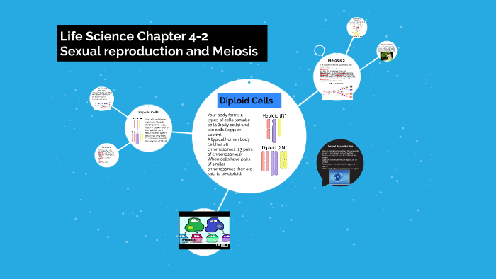 Life Science Chapter 4-2 by Kati Kaizen on Prezi