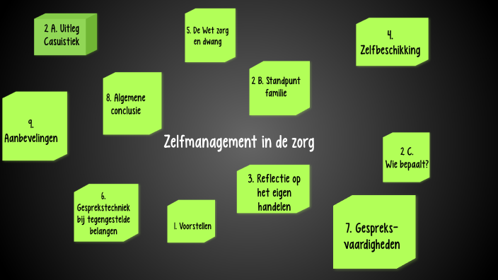 Zelfmanagement in de zorg by Pedro Jacobs on Prezi