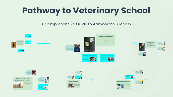 Pathway to Veterinary School by Stephens Grhams on Prezi