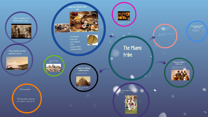 what the Miami tribes homes by young newcole on Prezi