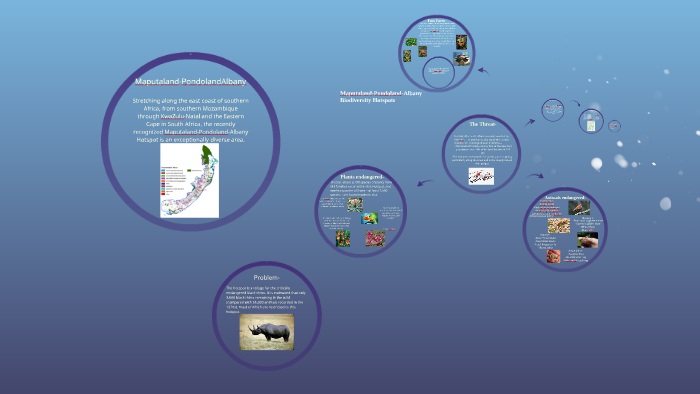 Maputaland-Pondoland-Albany Biodiversity Hotspots by Emily Baldwin on Prezi