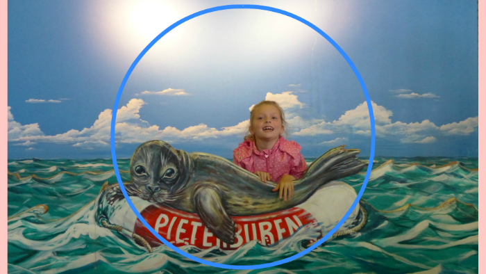 Zeehonden by remi riviere on Prezi