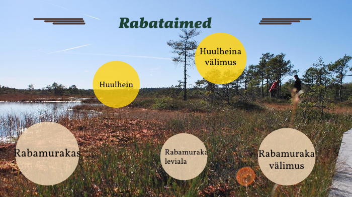 Rabataimed by Säsil Potter on Prezi