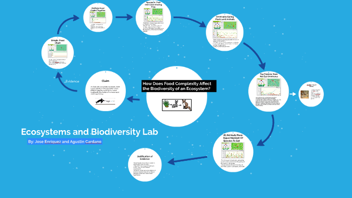 How Does Food Complexity Affect the Biodiversity of an Ecosy by Agus ...