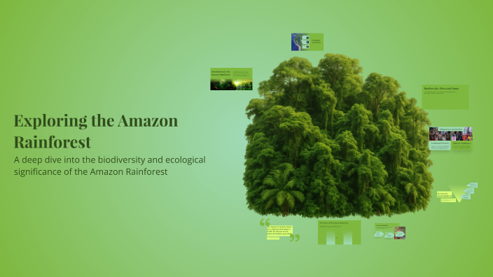 Exploring the Amazon Rainforest by Yuri Lopes on Prezi