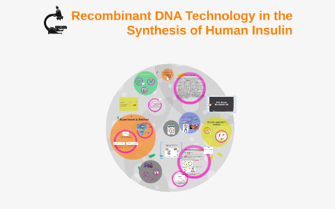 Recombinant DNA Technology in the Synthesis of Human Insulin by Amni ...