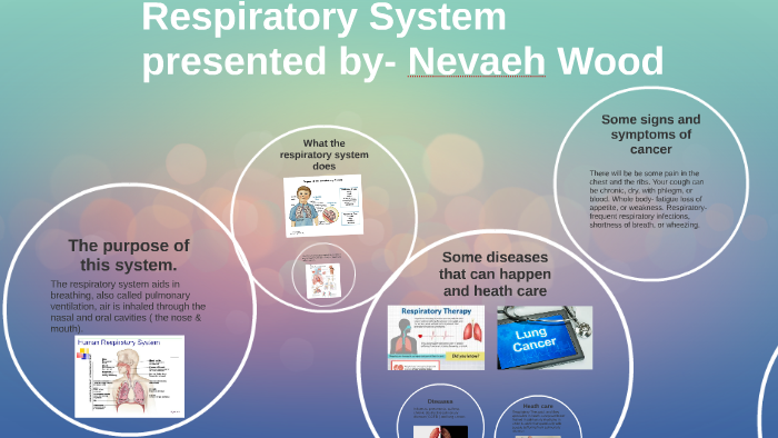 Respiratory System by nevaeh wood on Prezi