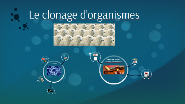 Le clonage d'organismes by on Prezi