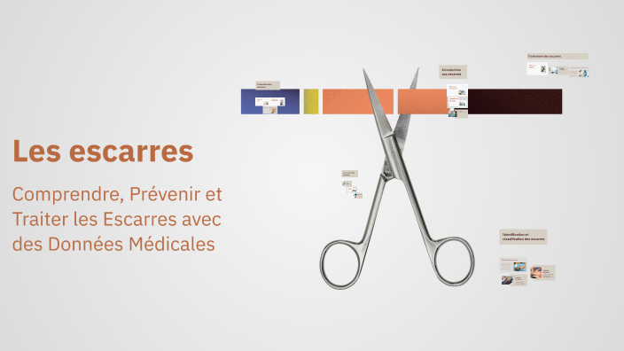 Les escarres by sophie zouari on Prezi
