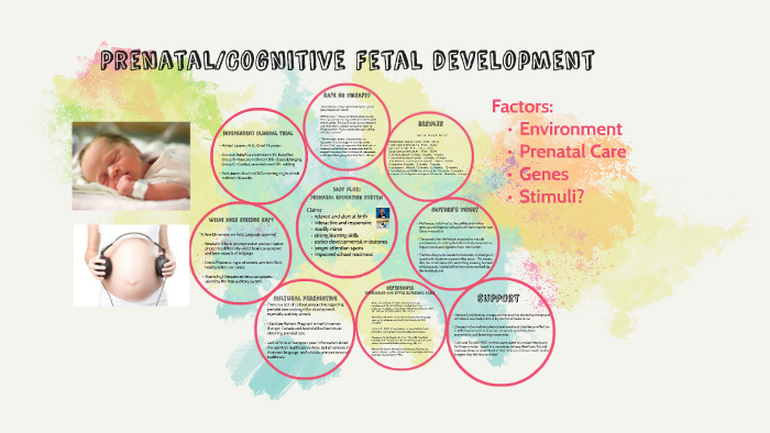 Prenatal/Cognitive Fetal development by Keigan Dravis on Prezi
