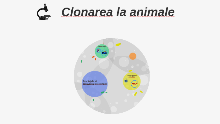 Clonarea la animale by Bianca Velcu on Prezi