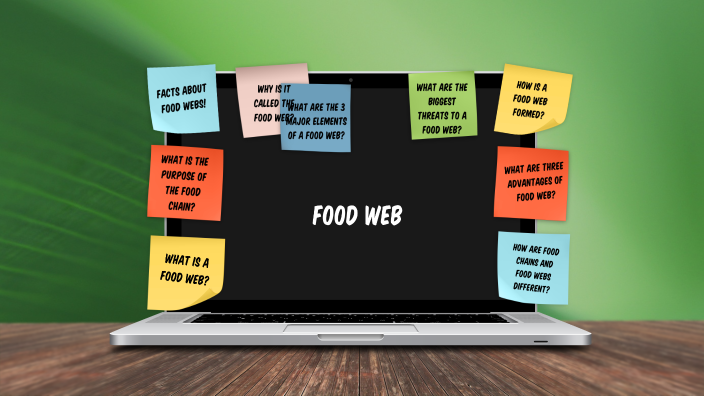 Food web by Isabella Del toro on Prezi