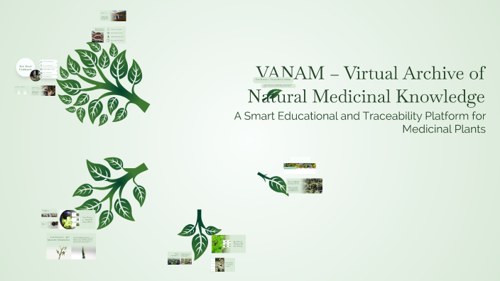 VANAM – Virtual Archive of Natural Medicinal Knowledge by Dr. Pravin ...