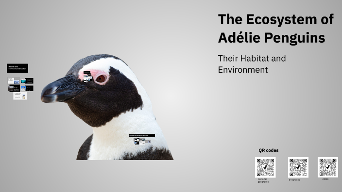 The Ecosystem of Adélie Penguins by Alexa Jacobs on Prezi