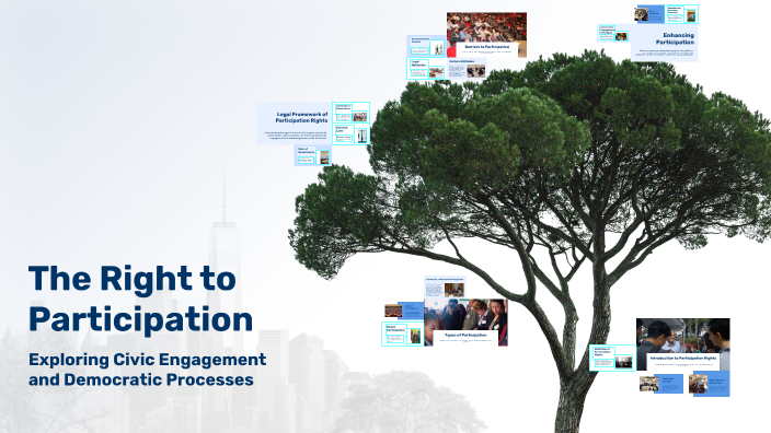 The Right to Participation by Chiriac Gabriela on Prezi