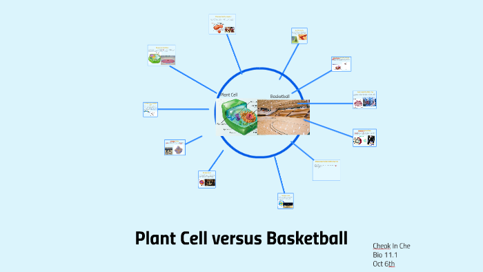 Plant Cell Compared to Basketball by Cheok In Che on Prezi