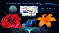 Life Is Like A Flower