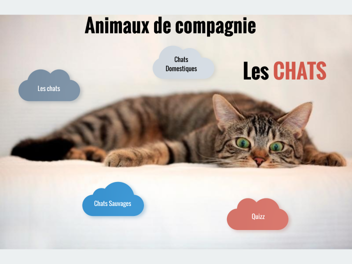 Presentation Alix/Thomas - Chats by Ludovic Canal on Prezi