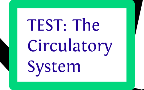 The Circulatory System by Victoria Crum