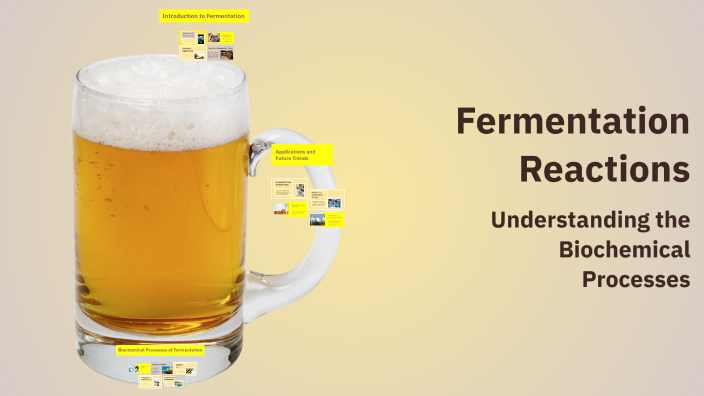 Fermentation Reactions by Vince Wilms on Prezi