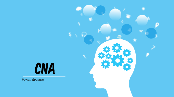 Steps by Payton Goodwin on Prezi