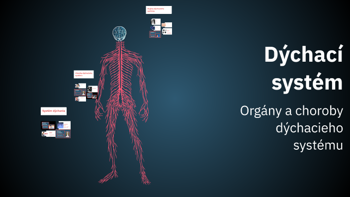 Dýchací systém by Natália Ondričková on Prezi