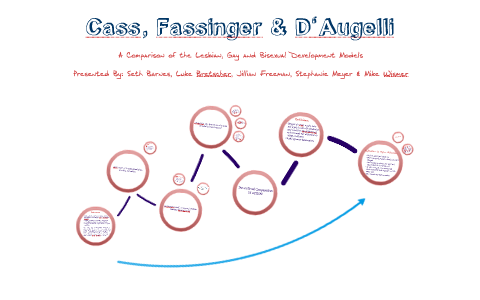 Cass, Fassinger & D'Augelli Comparison by Steph Meyer on Prezi