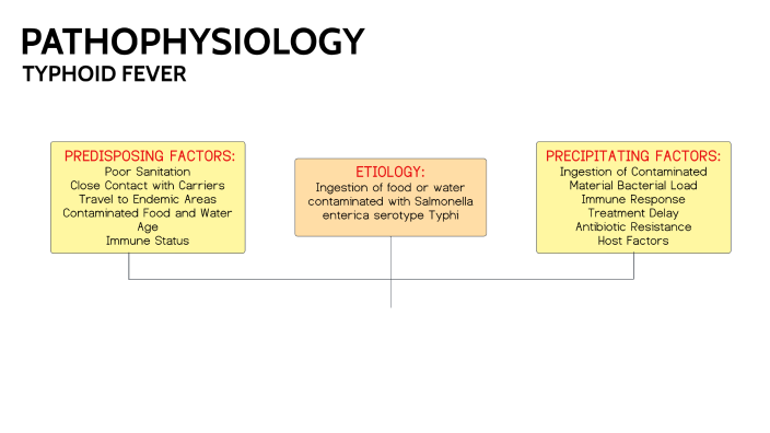 PATHOPHYSIOLOGY by TRISHA MAE ENDRIGA on Prezi