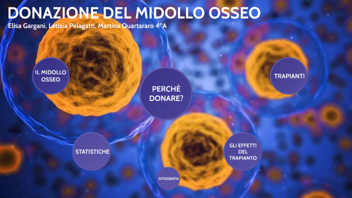 DONAZIONE MIDOLLO OSSEO by martina quartararo on Prezi