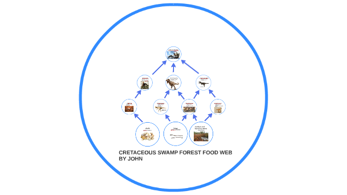 Cretaceous swamp forest ecosystem food web by John Digi on Prezi