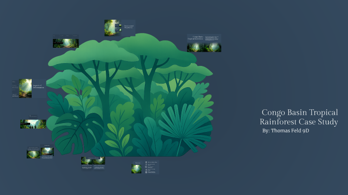 Congo Basin Tropical Rainforest Case Study by Jeremiah Dillard on Prezi