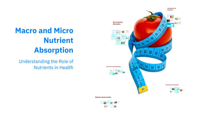 Macro and Micro Nutrient Absorption by Andre JD on Prezi