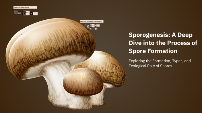 Sporogenesis: A Deep Dive into the Process of Spore Formation by ...
