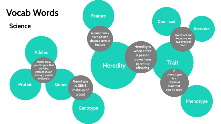 Heredity Concept Map by Daniela Carlos on Prezi