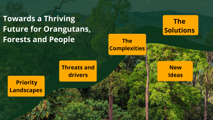 Koen by koen meyers on Prezi