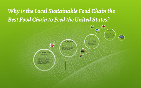 Why is the Local Sustainable Food Chain the Best Food Chain by Amaya ...