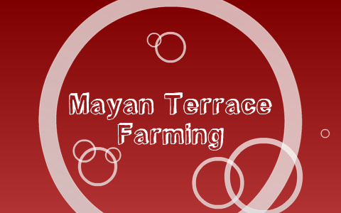 Socials May 2011: Mayan Terrace Farming by Ariel M. on Prezi