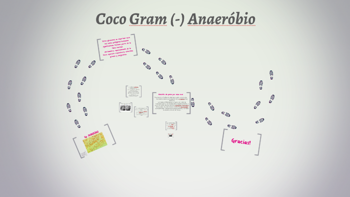 Coco Gram (-) Anaeróbio by Sebastian Gonzalez on Prezi